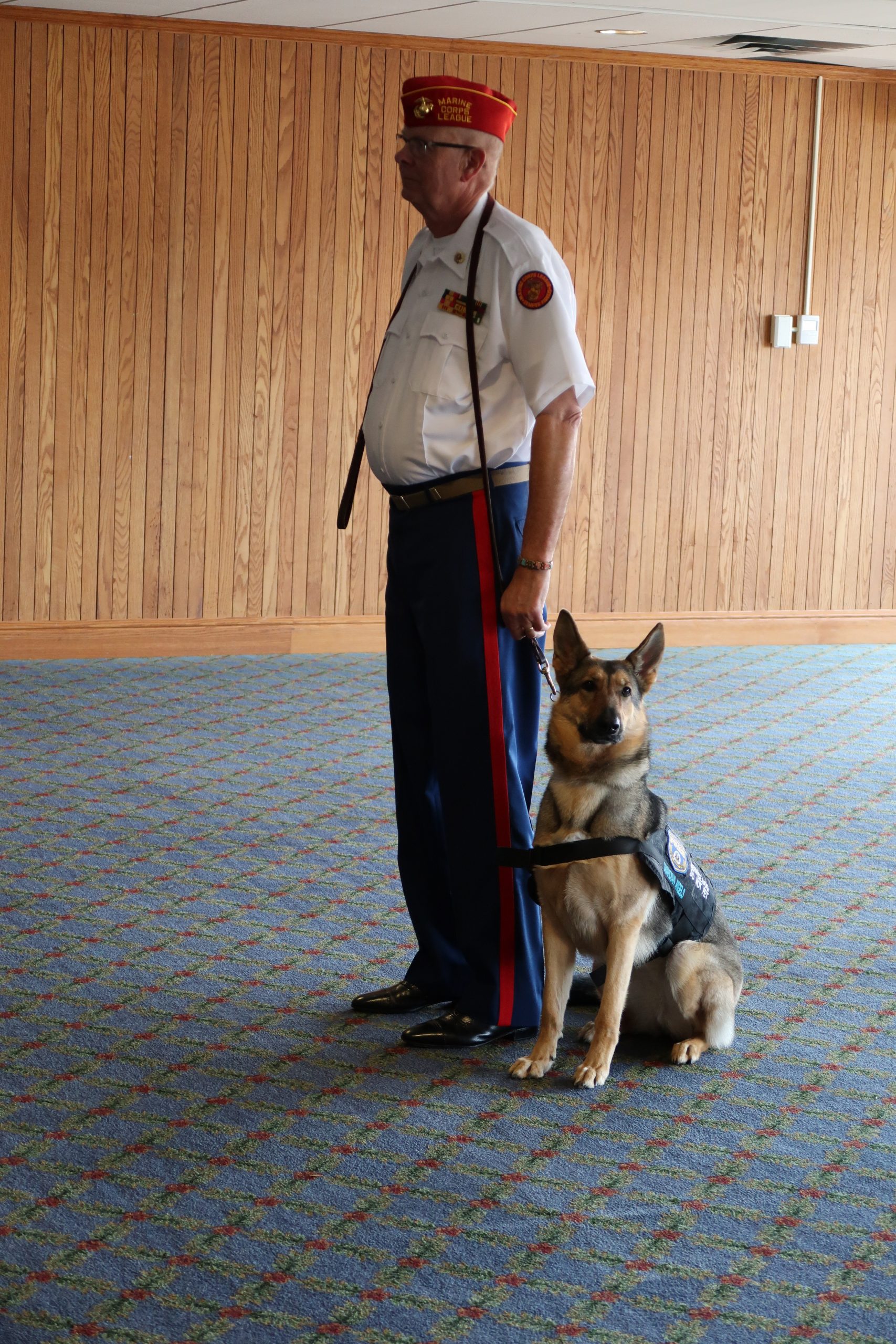 Gallery - Life Changing Service Dogs For Veterans