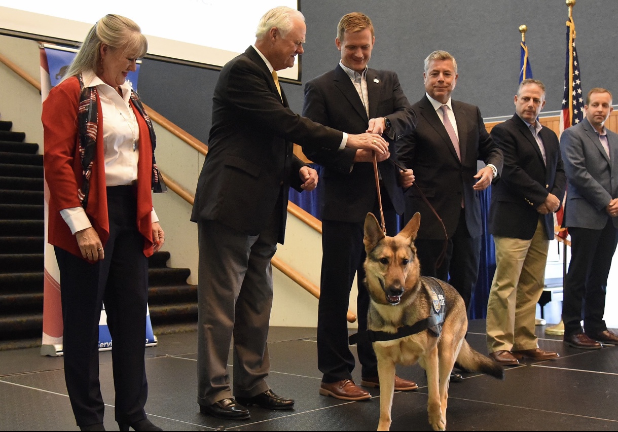 Gallery - Life Changing Service Dogs For Veterans