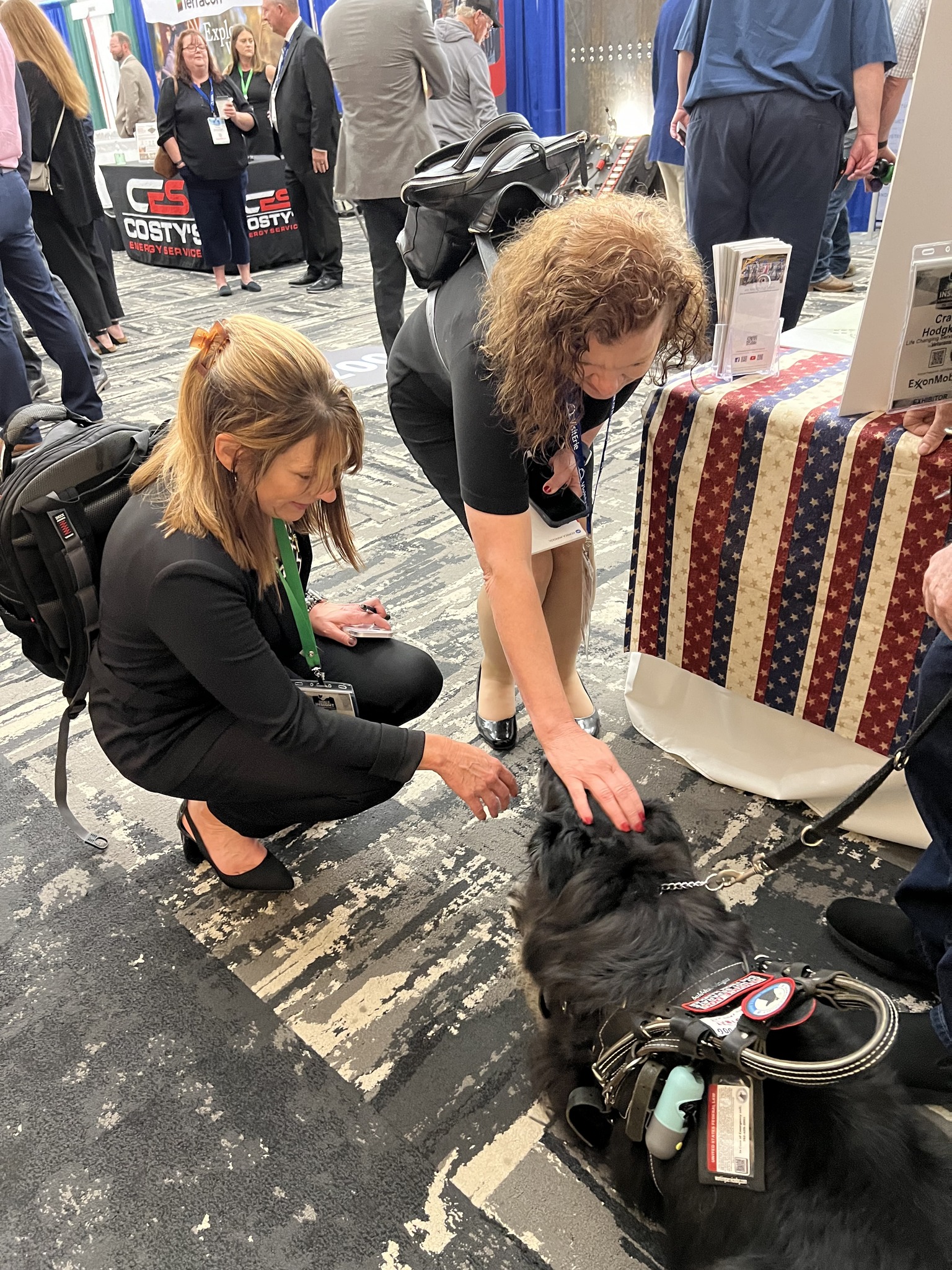 Life Changing Service Dogs For Veterans Shale Insight’s Heartfelt ...